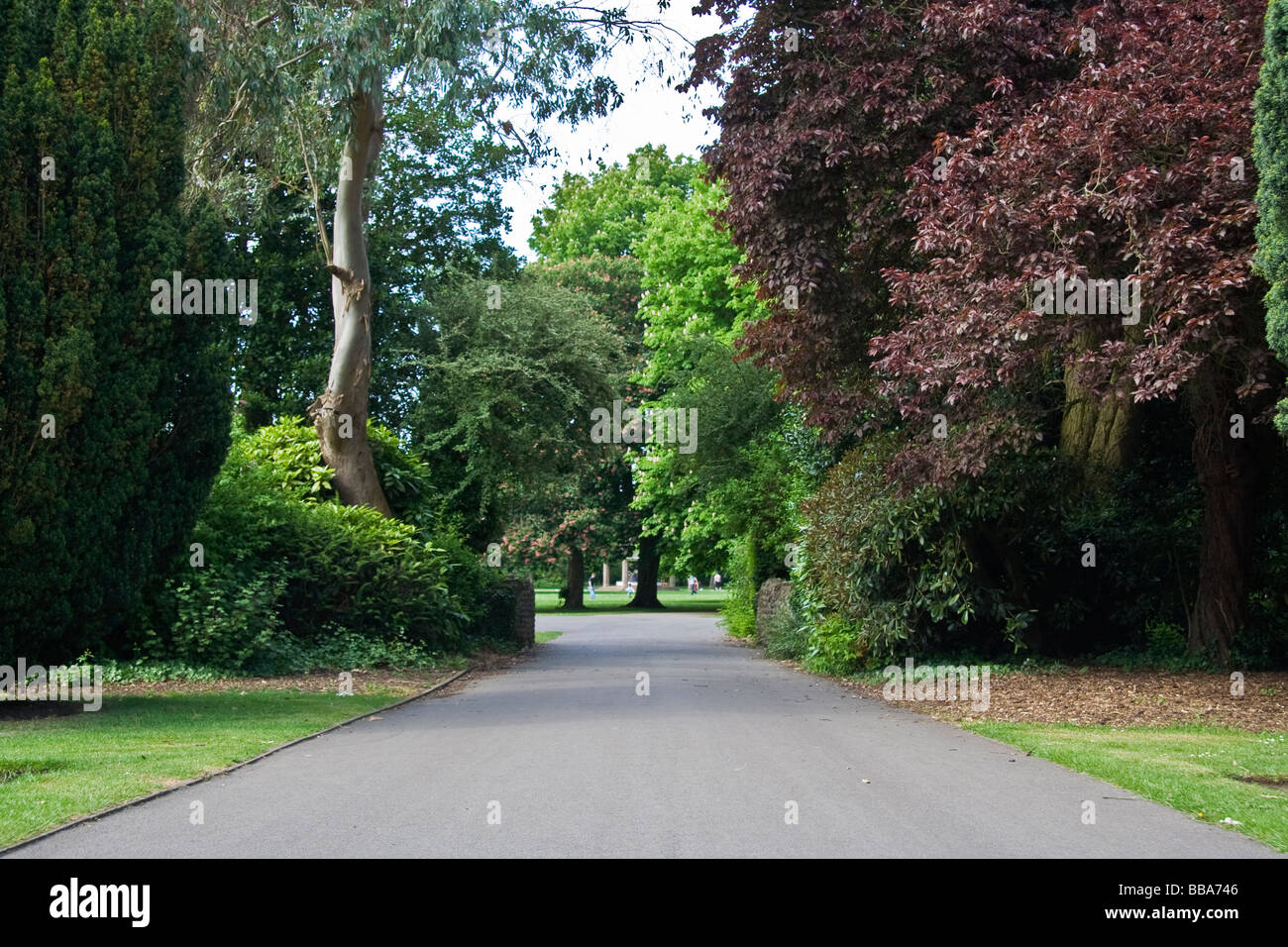 Florence Park Cowley