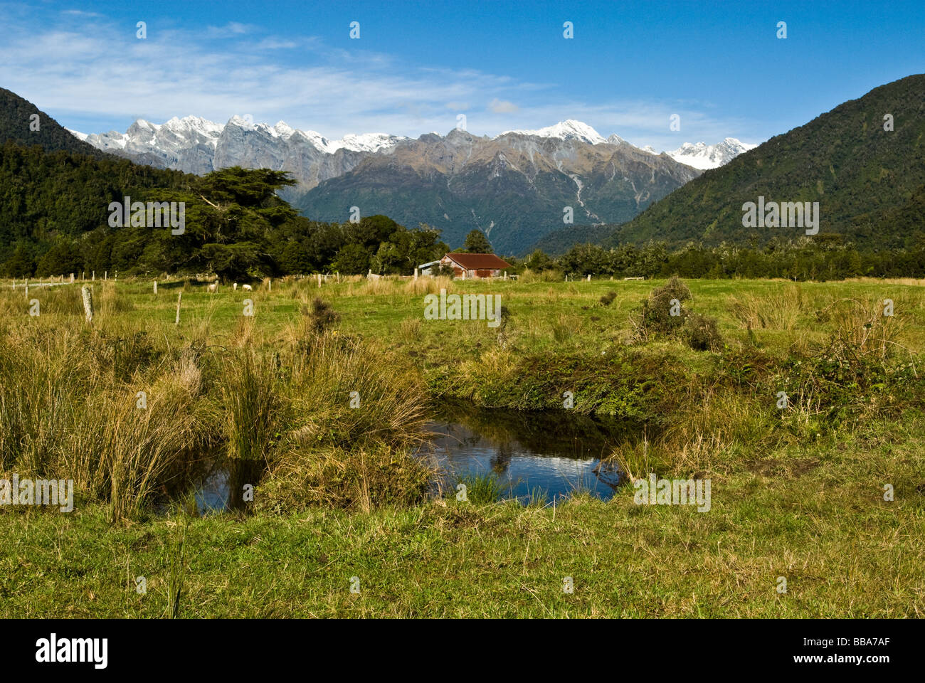 Landscape Whataroa Bridge West Coast South Island New Zealand looking ...