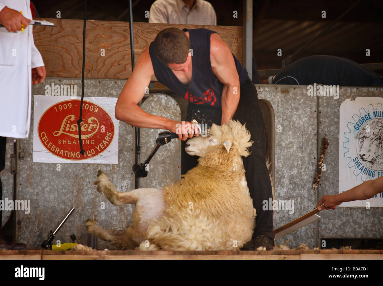 Competition sheep shearing hi-res stock photography and images - Alamy