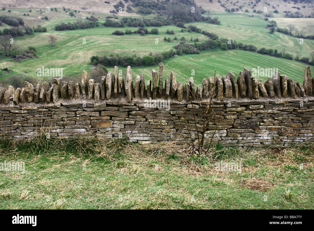 English field fence hi-res stock photography and images - Alamy