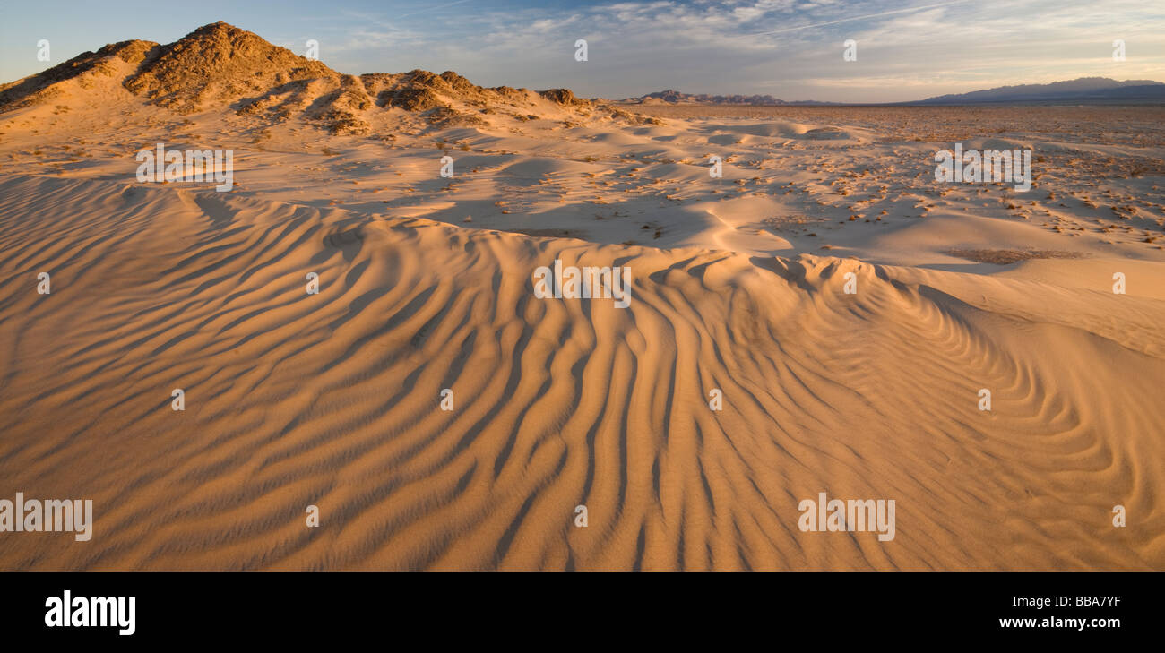 Cadiz Dunes at sunset, Mojave Trails National Monument, Mojave Desert ...