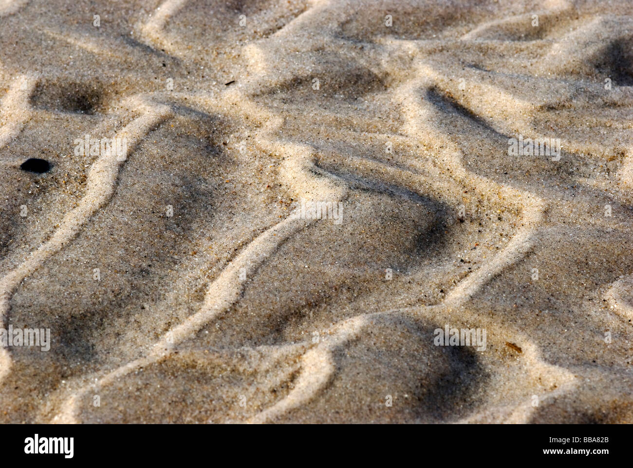Sand structures, created by waves and wind, North Sea, Denmark, Europe ...