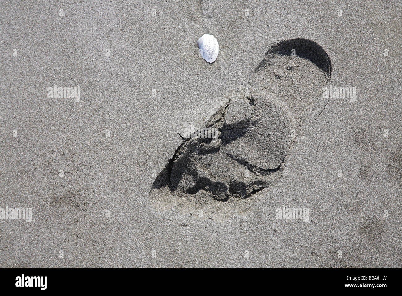 Footprint in sand Stock Photo - Alamy