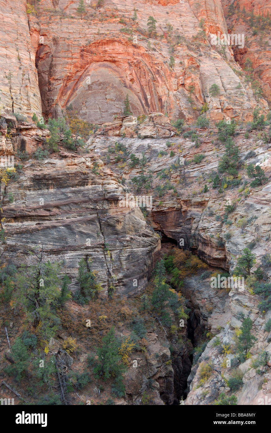 Deep and narrow gorge of the Pine creek near the Canyon overlook trail ...