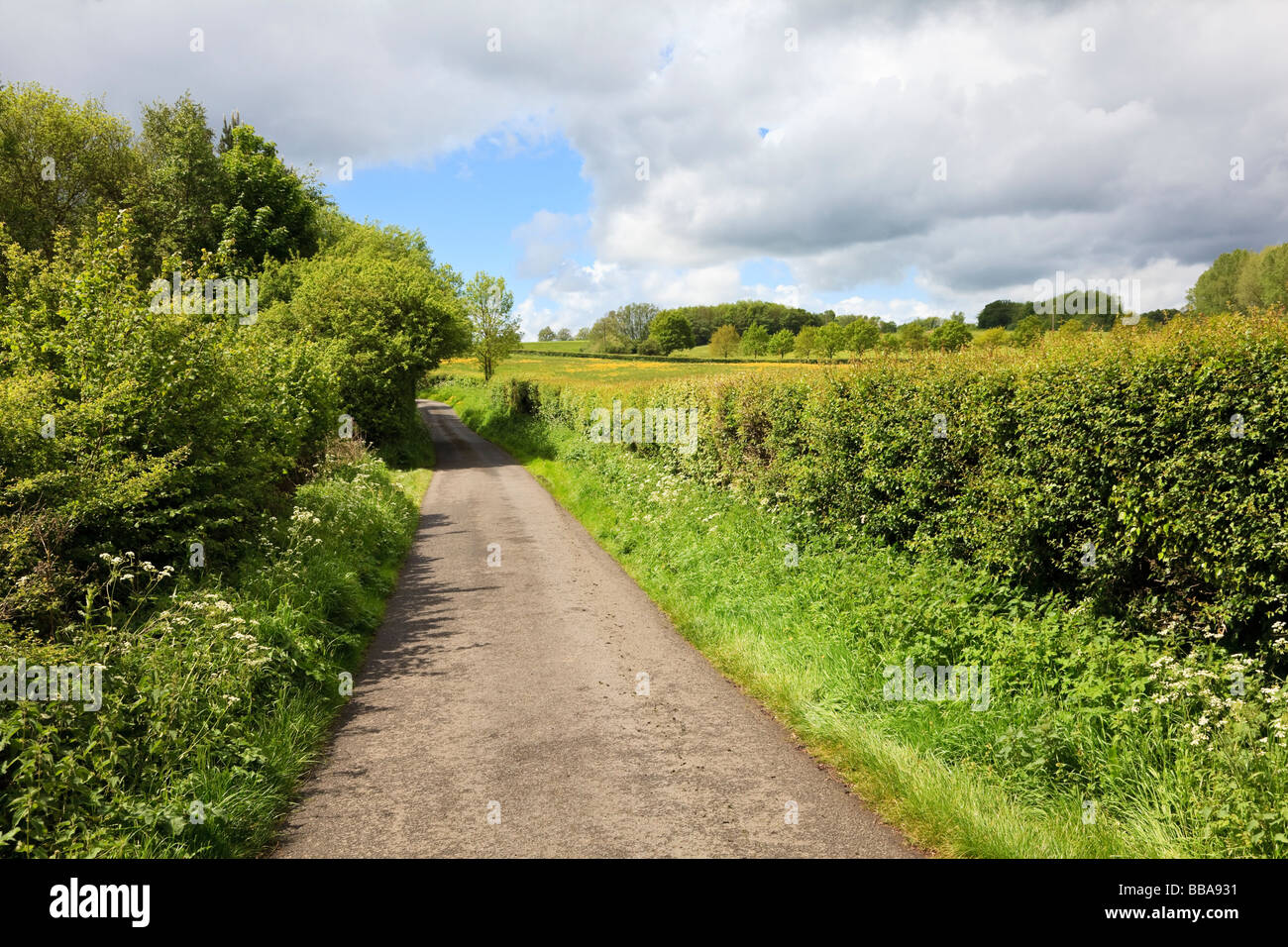 A typical Kent Country Lane near Plaxtol and Hadlow in Kent UK Stock ...