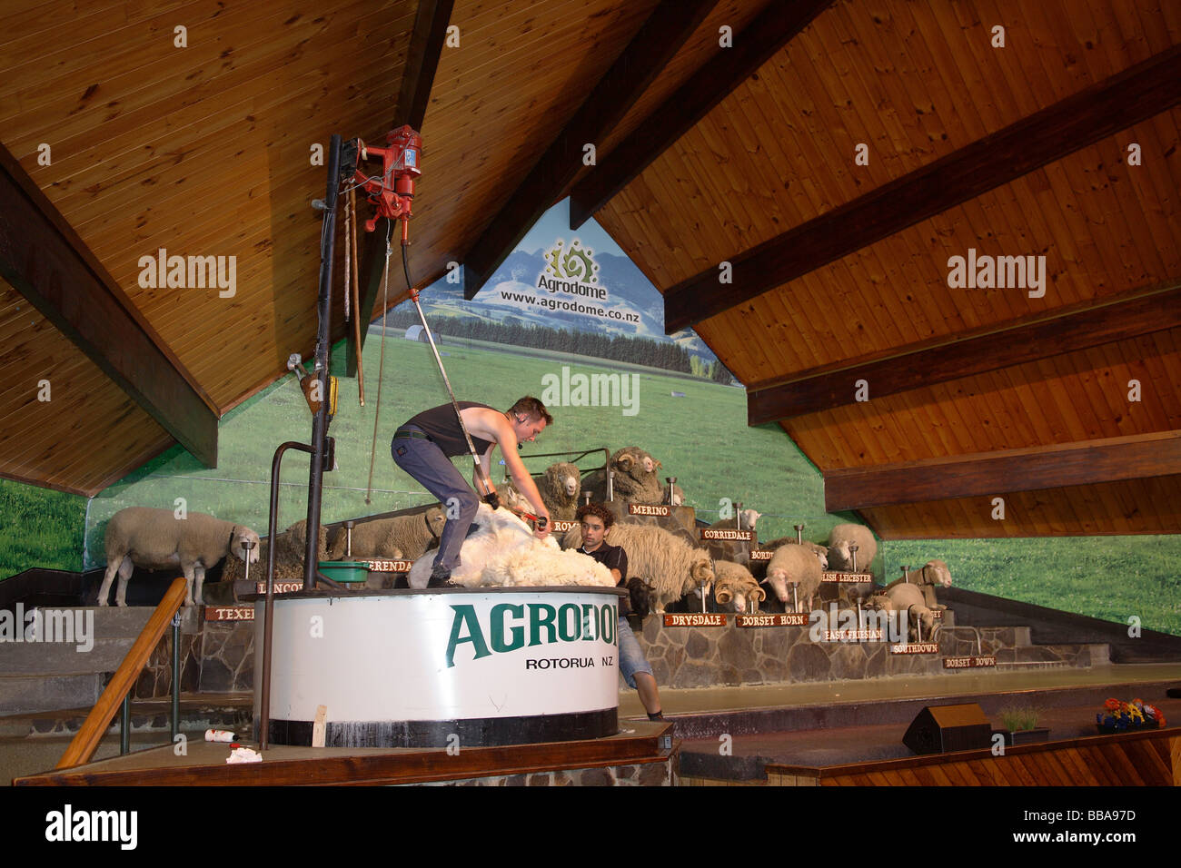 Farm show agrodome rotorua hi-res stock photography and images - Alamy