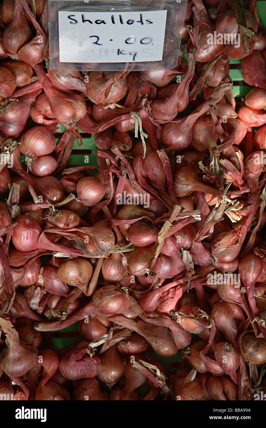 Small shallots hi-res stock photography and images - Alamy