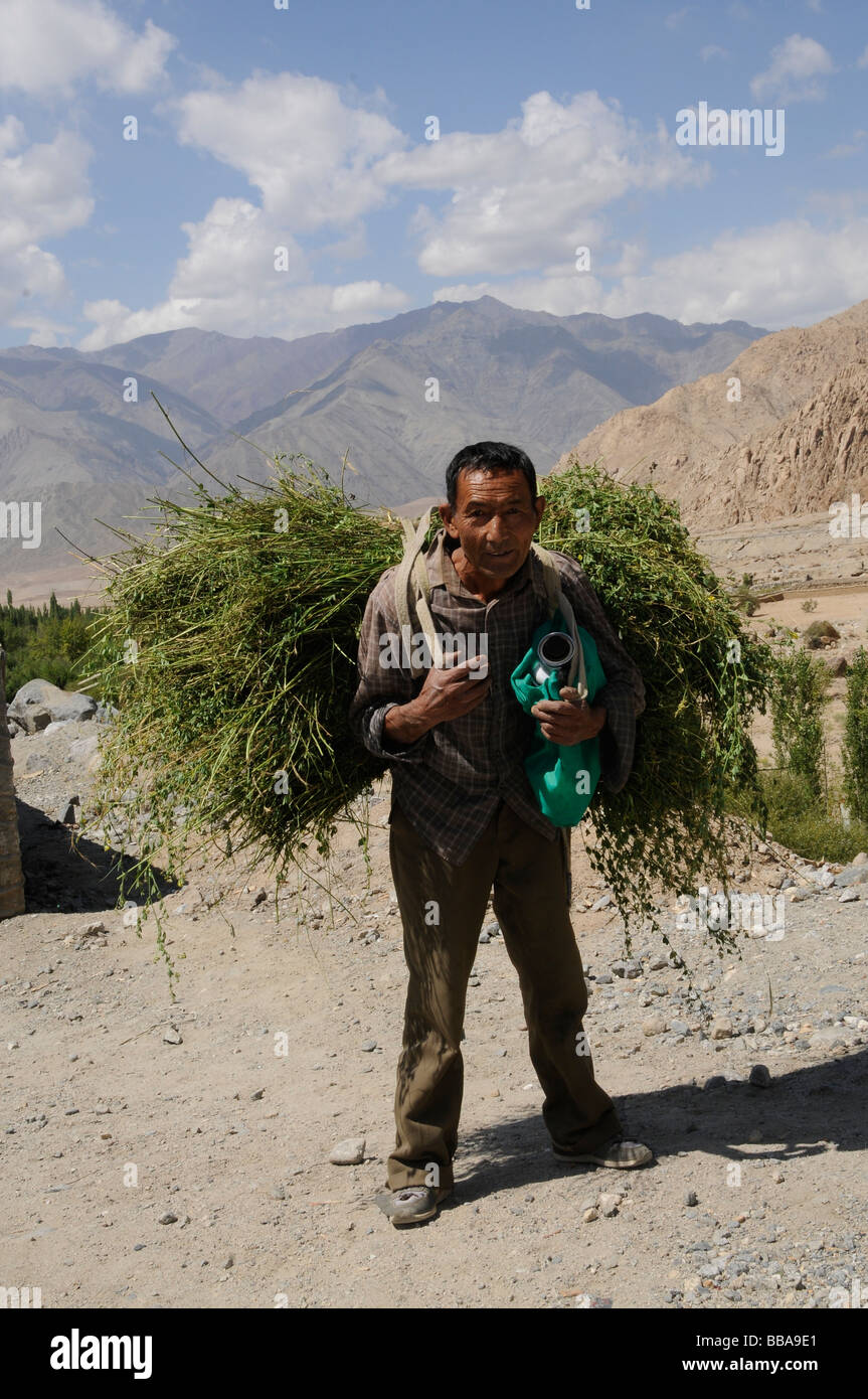 Arbeit als landwirt hi-res stock photography and images - Alamy