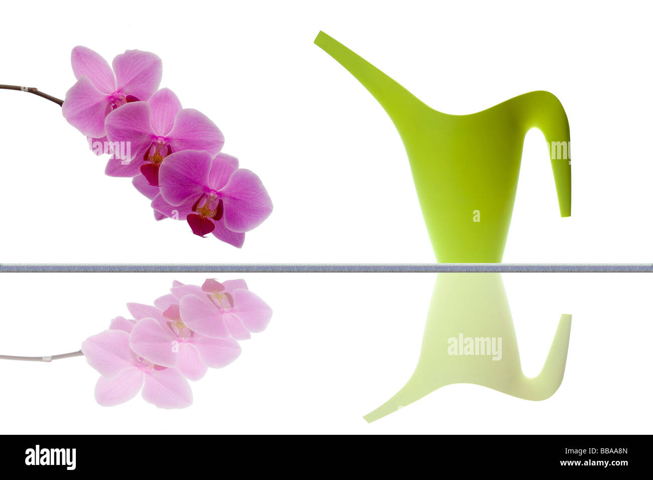 Types of watering cans hi-res stock photography and images - Alamy