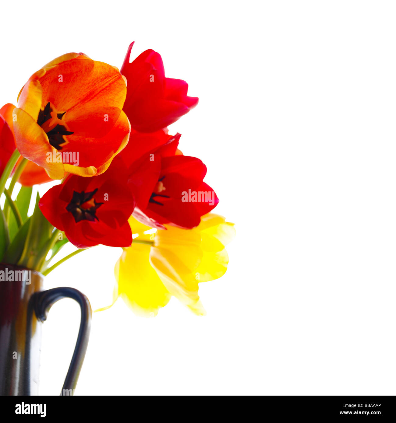 bouquet of fresh tulips Stock Photo - Alamy