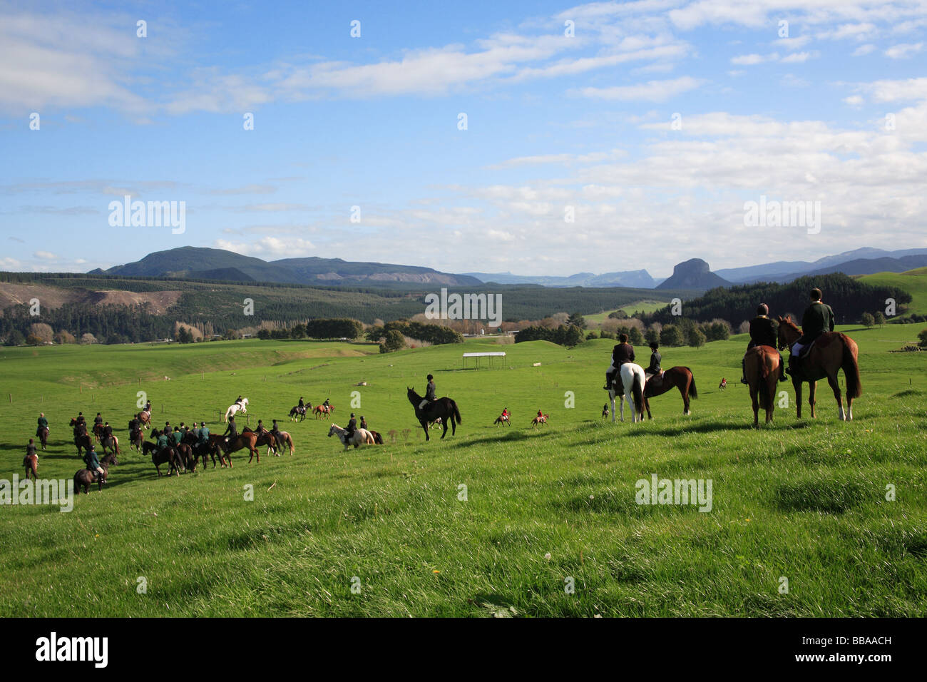 Hunting on horseback over farmland Stock Photo - Alamy