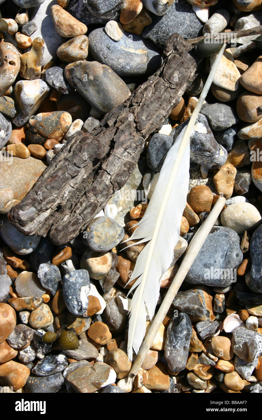 Flotsum & Jetsum washed up on Cuckmere Haven Beach Stock Photo - Alamy