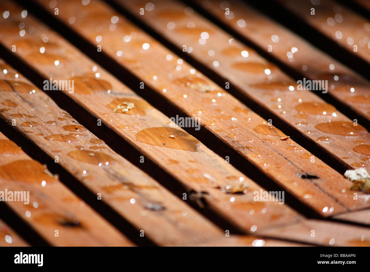 wood bench with water drops, diagonal Stock Photo - Alamy