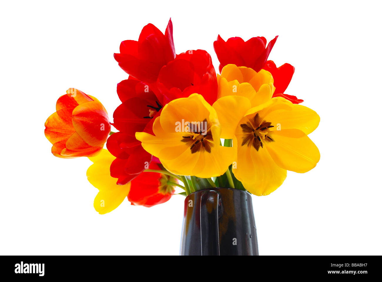 Love tulips Cut Out Stock Images & Pictures - Alamy