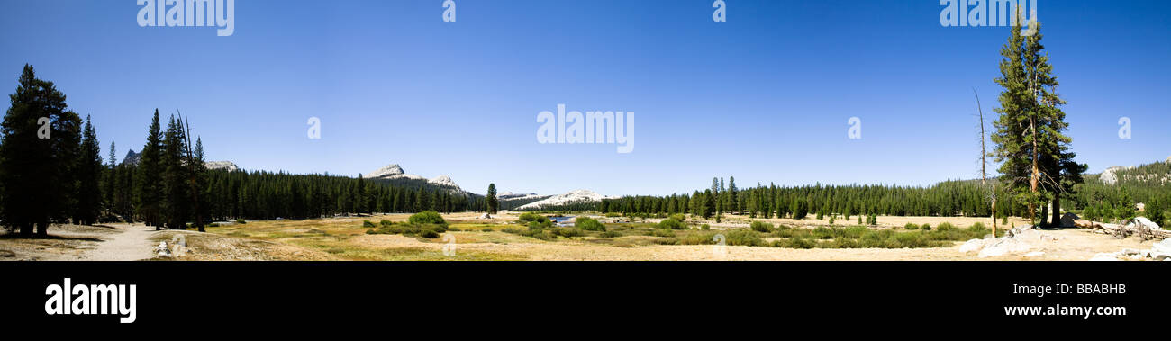 Yosemite high resolution hi-res stock photography and images - Alamy