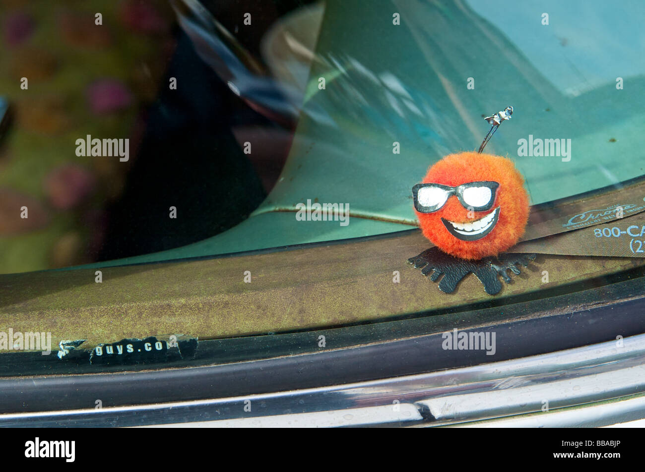 cool orange fuzzy face in Edsel window with sun glasses and big feet ...