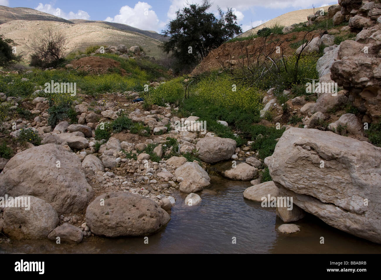 pastoral view with water,rocks,and green Stock Photo - Alamy