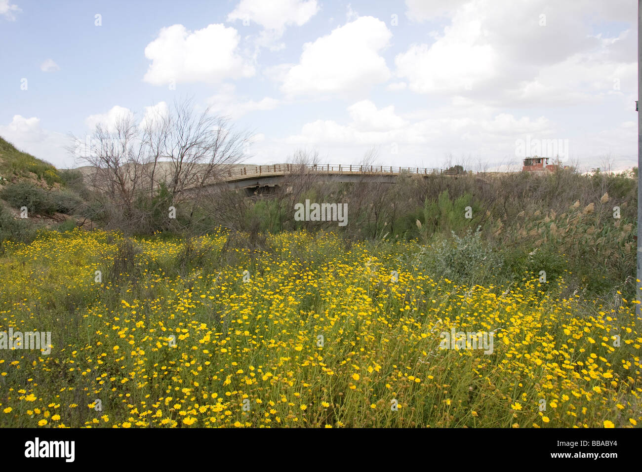 pastoral yellow field Stock Photo - Alamy