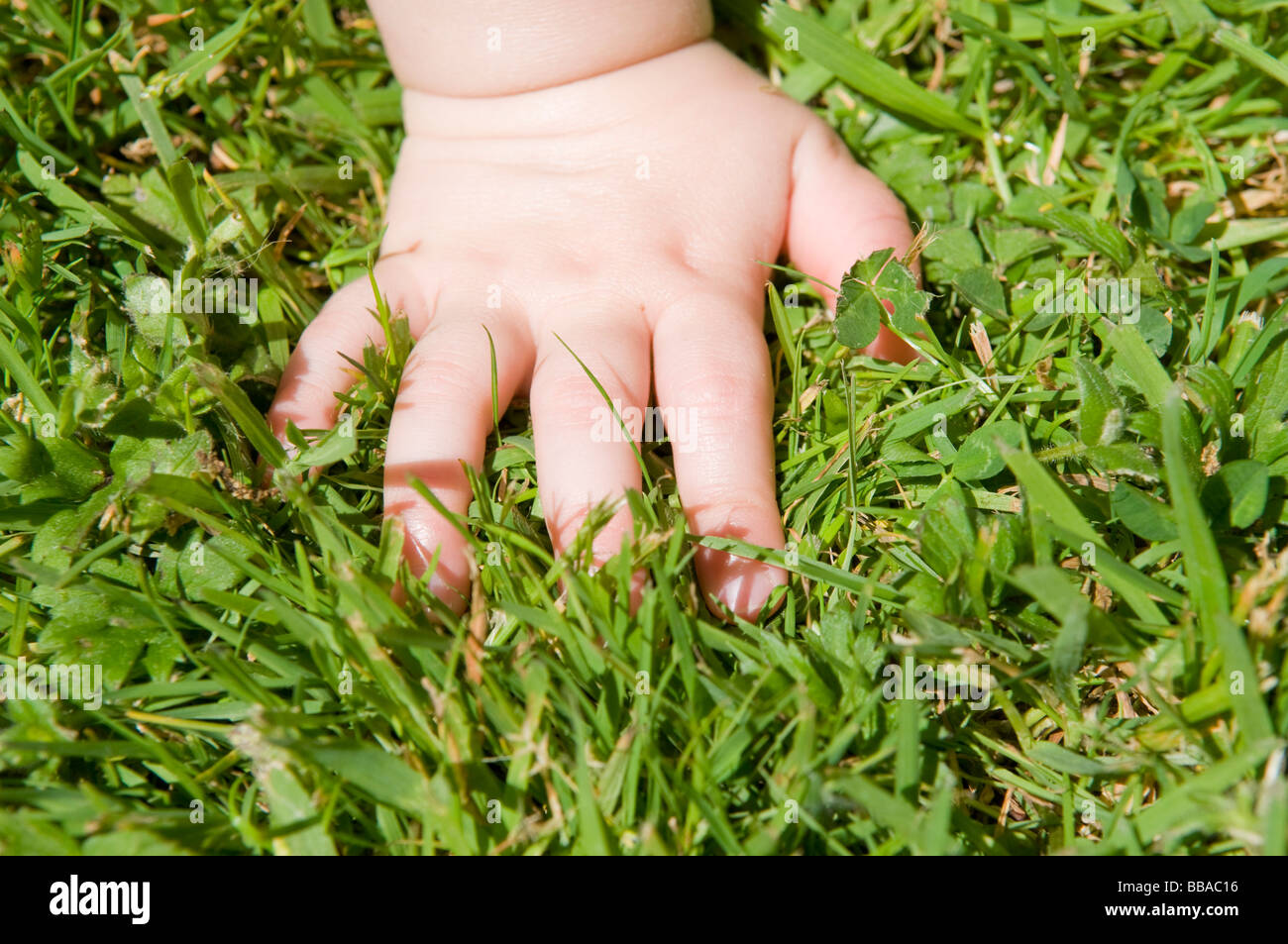 Hand and toddler hi-res stock photography and images - Alamy