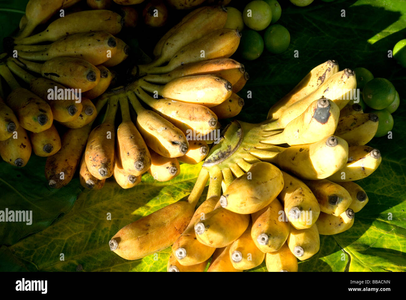 Hand of bananas hi-res stock photography and images - Alamy