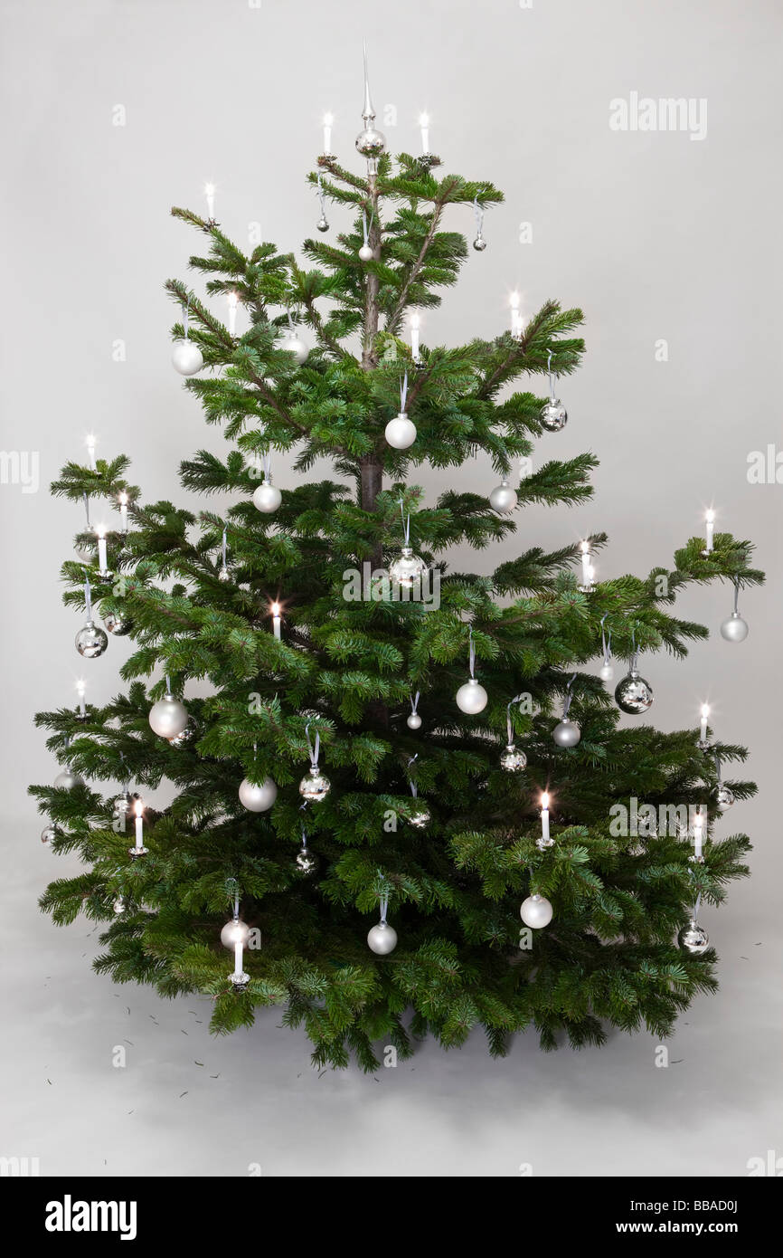 A Christmas Tree Stock Photo - Alamy