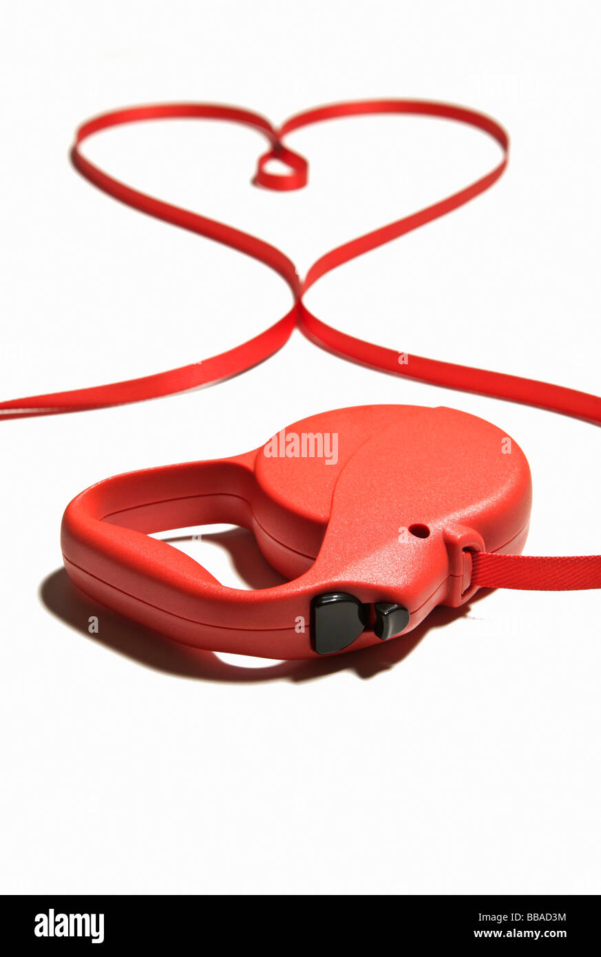 White dog with leash Cut Out Stock Images & Pictures - Alamy