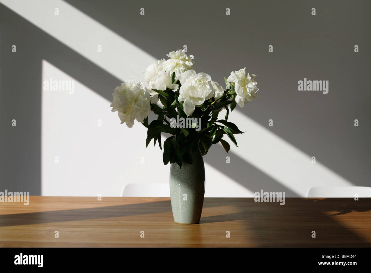 White flower on conference table hi-res stock photography and images ...