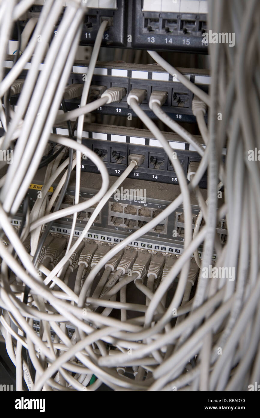 Cables connected to a network server Stock Photo - Alamy