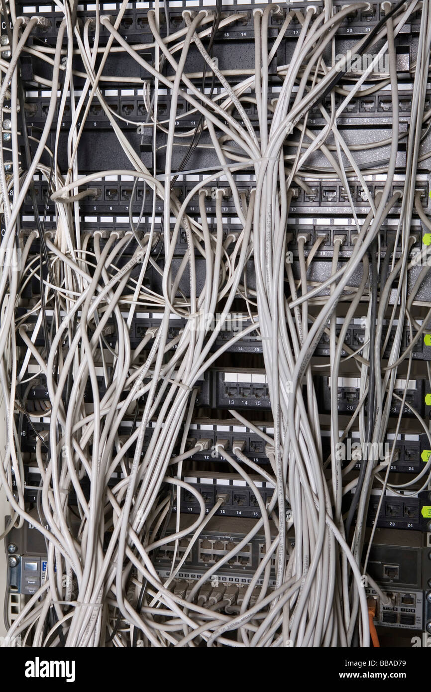 Cables connected to a network server Stock Photo - Alamy
