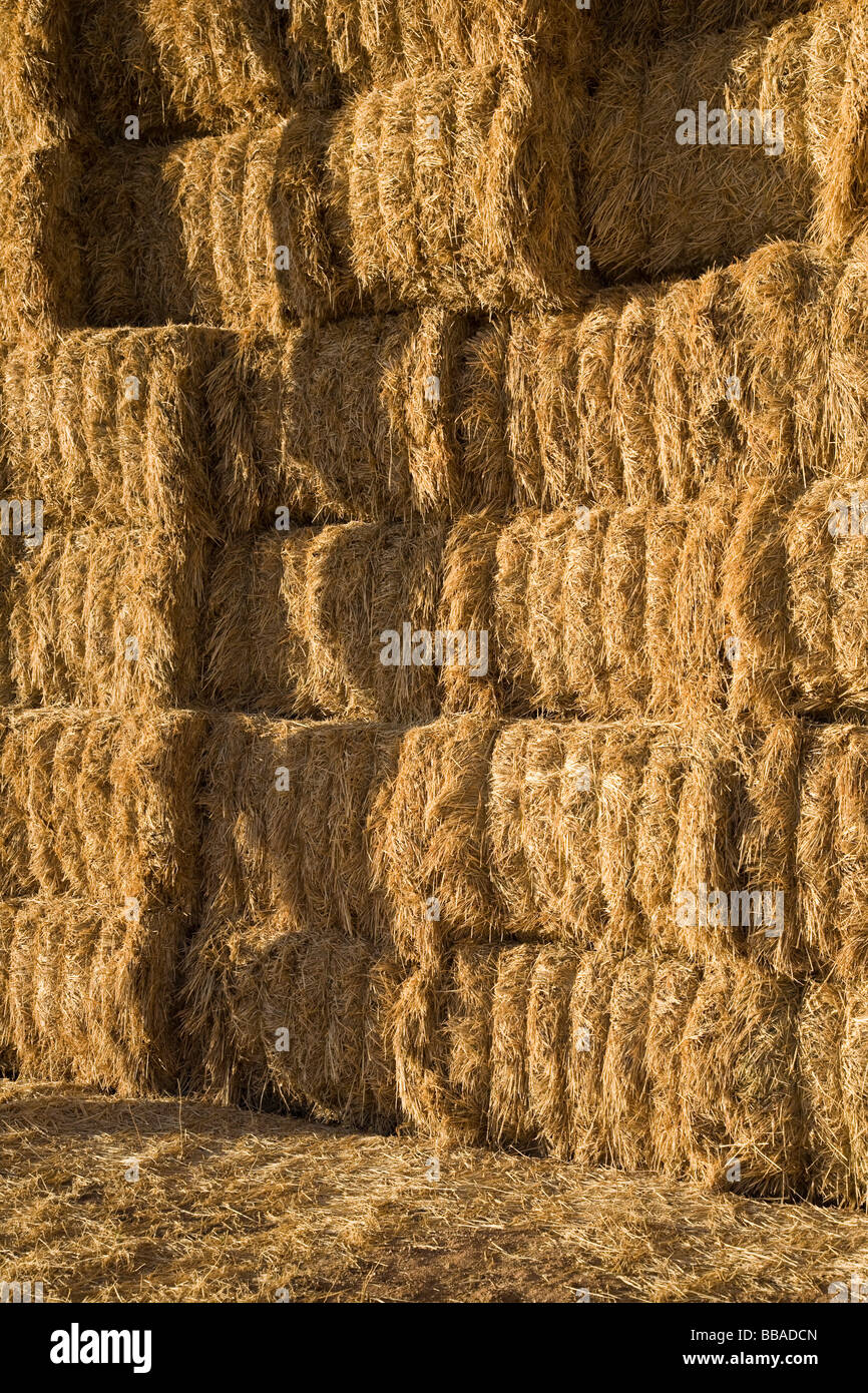 Stacked bales of hay Stock Photo - Alamy