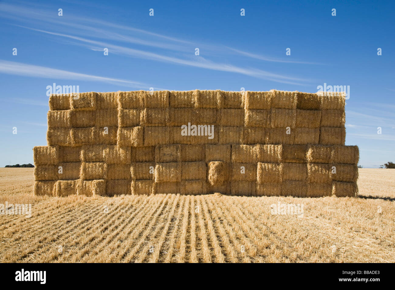 Hay bales in field in hi-res stock photography and images - Alamy