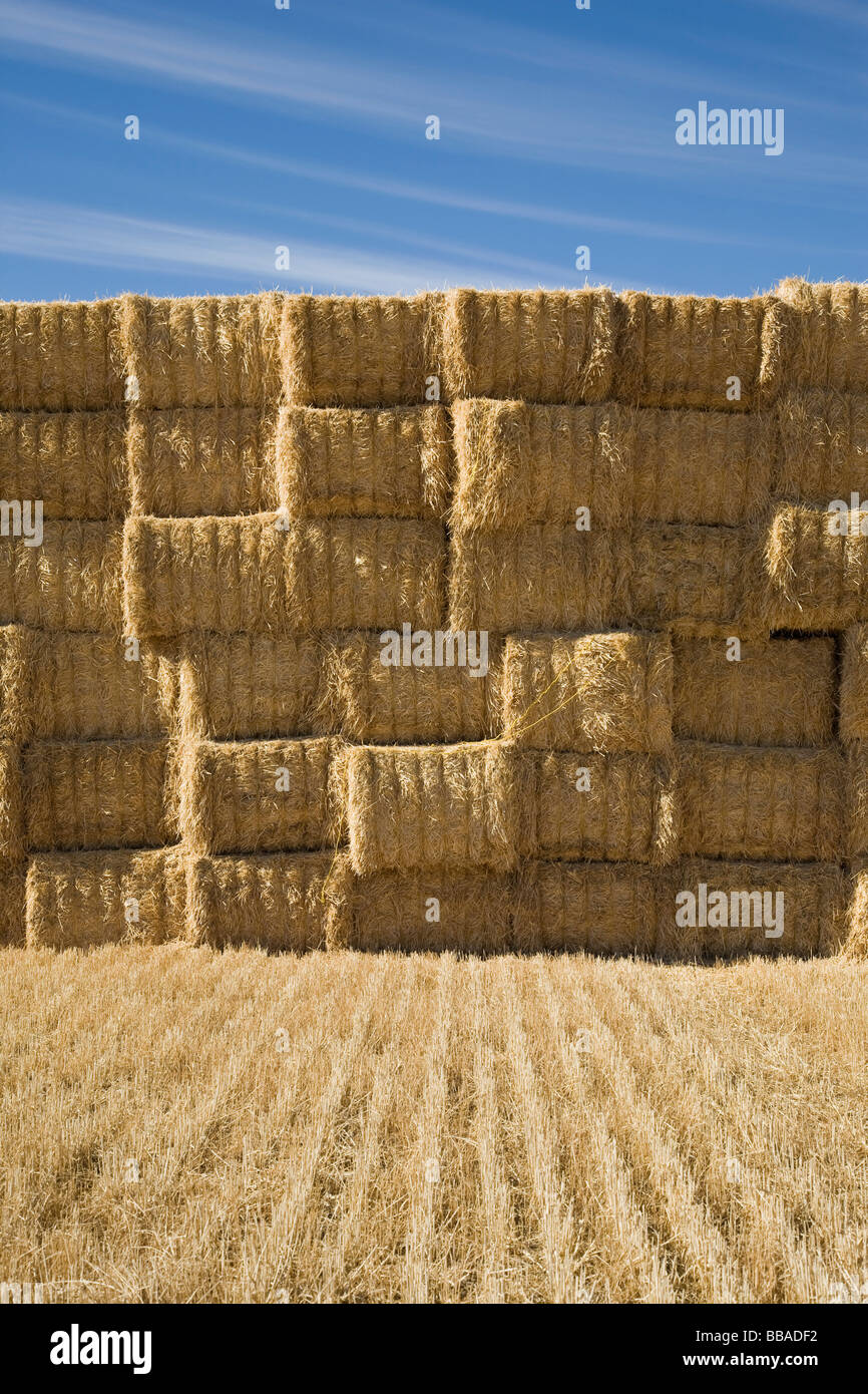 Stacked hay bales in hi-res stock photography and images - Alamy