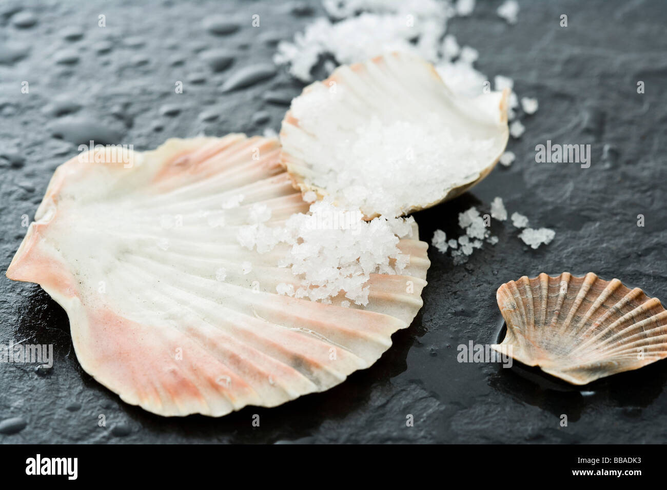 Three shells and bath salts Stock Photo - Alamy