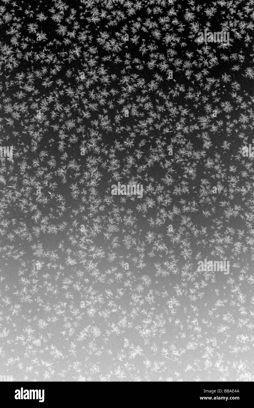 Ice fog frost on Black and White Stock Photos & Images - Alamy