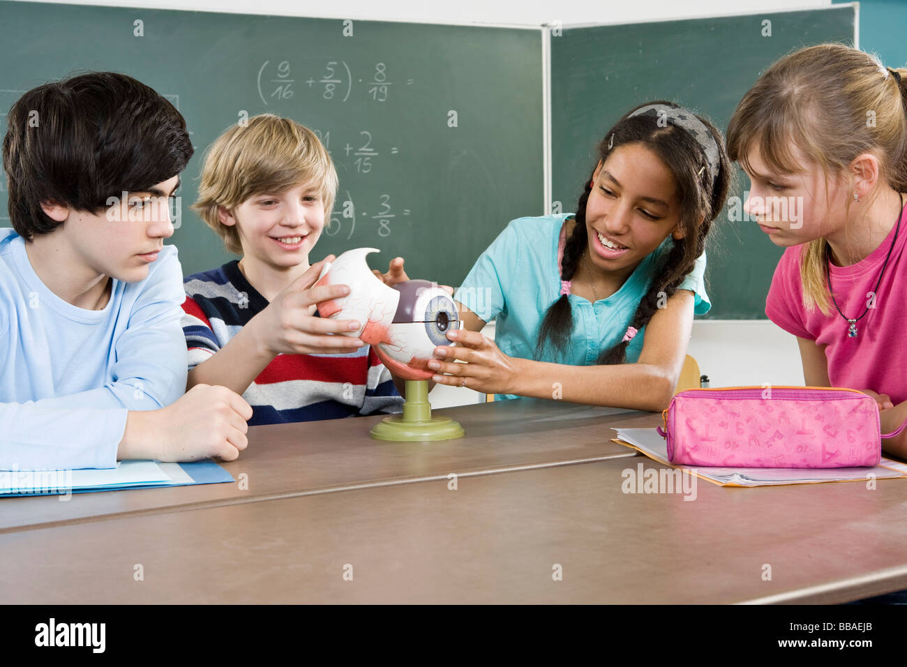 School students looking at a model of a human eye Stock Photo - Alamy