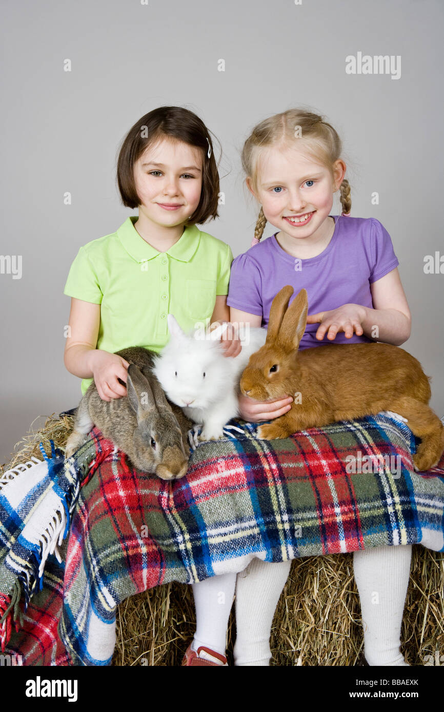 Portrait 18 rabbit hi-res stock photography and images - Alamy