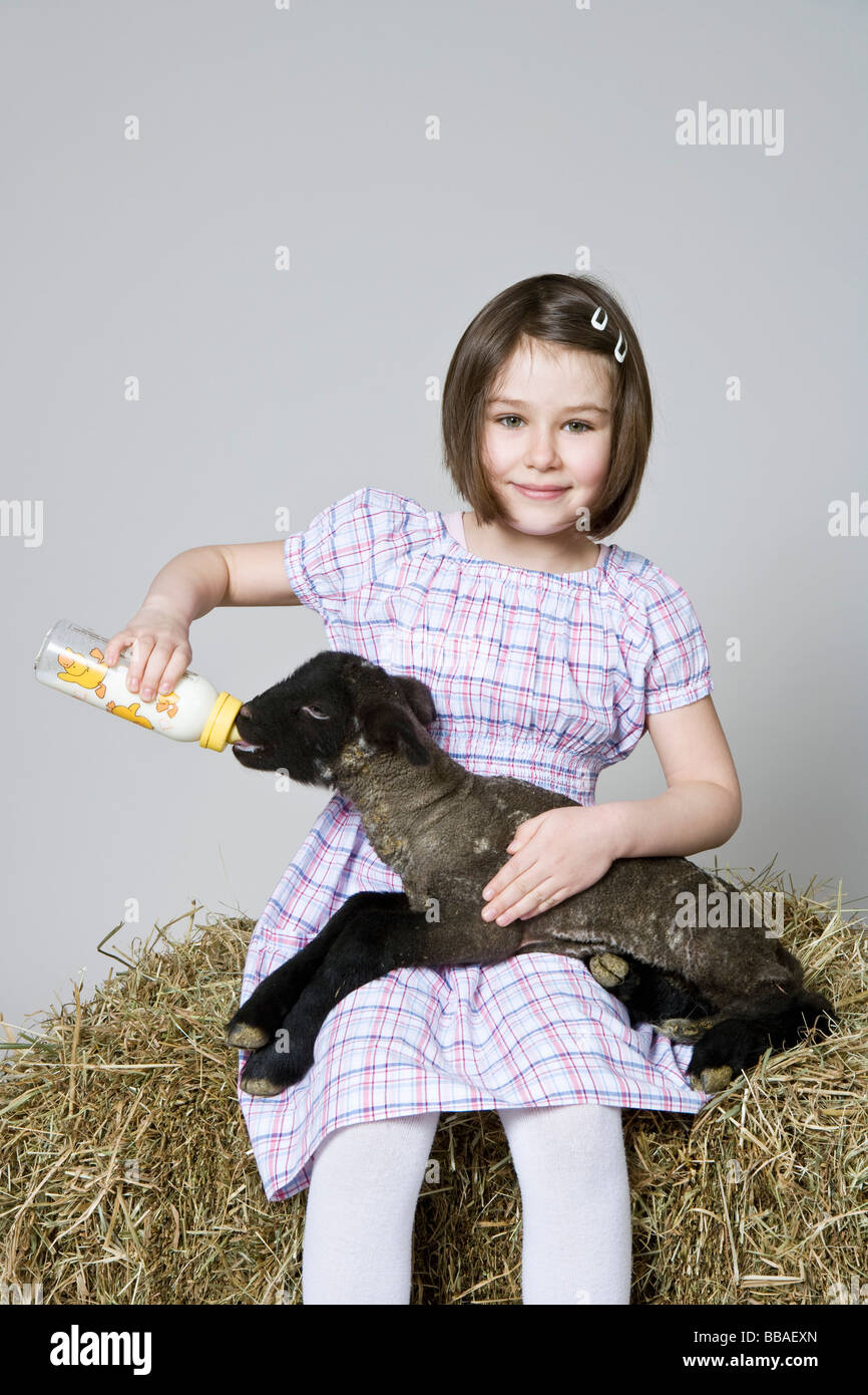 A girl feeding a black lamb, studio shot Stock Photo - Alamy