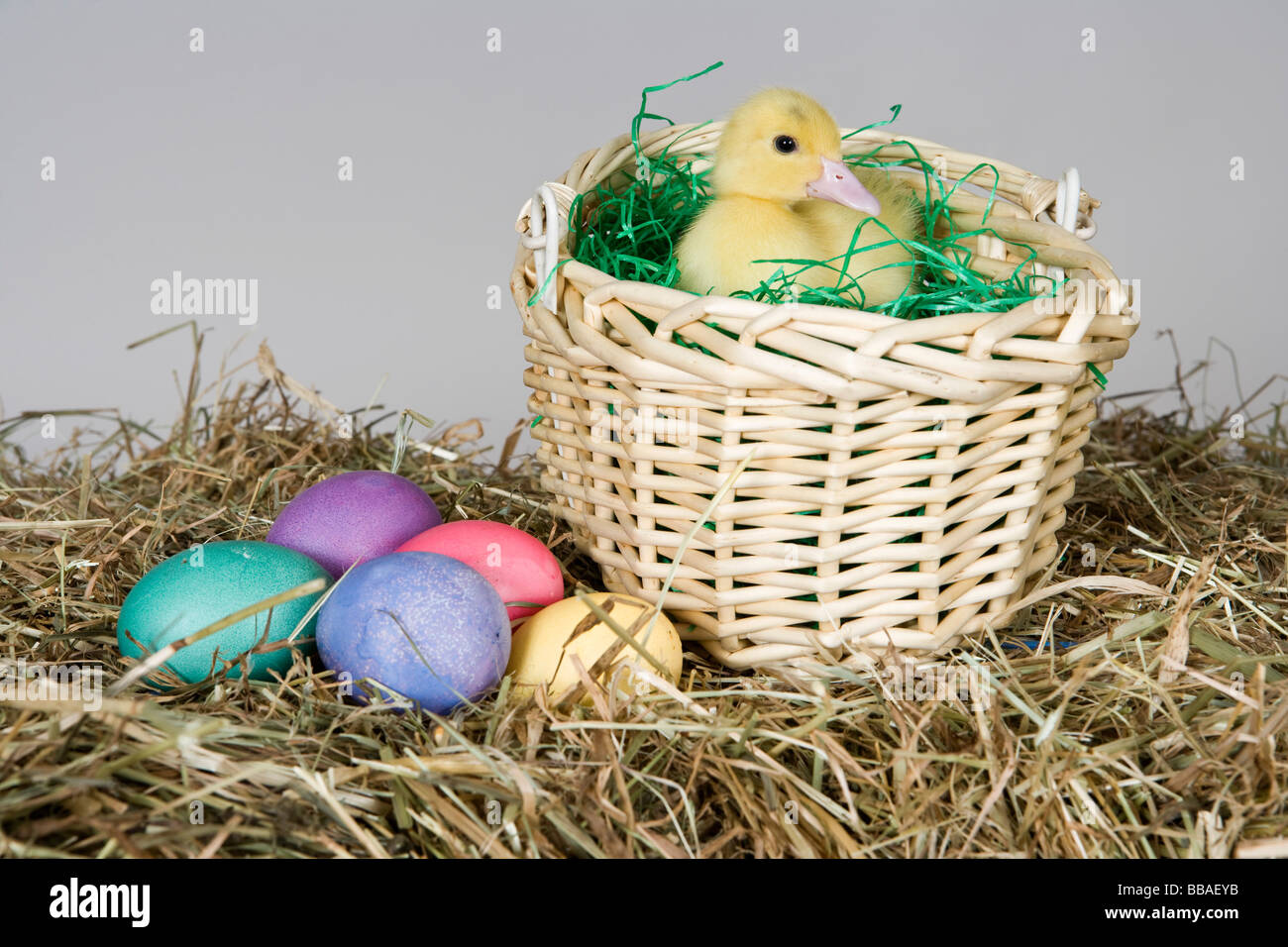 Basket studio hi-res stock photography and images - Alamy