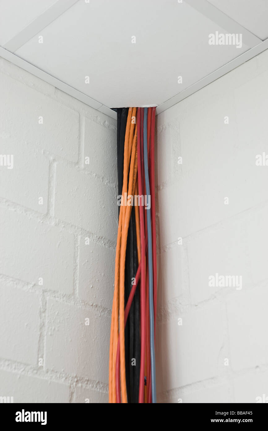 Cables hanging from the ceiling Stock Photo - Alamy