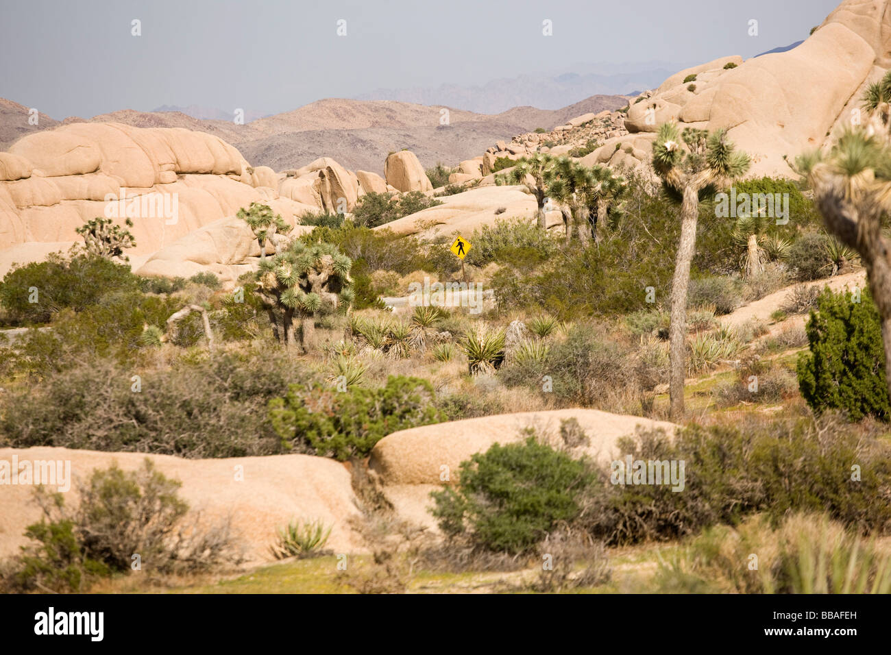 Bizarre desert hi-res stock photography and images - Alamy