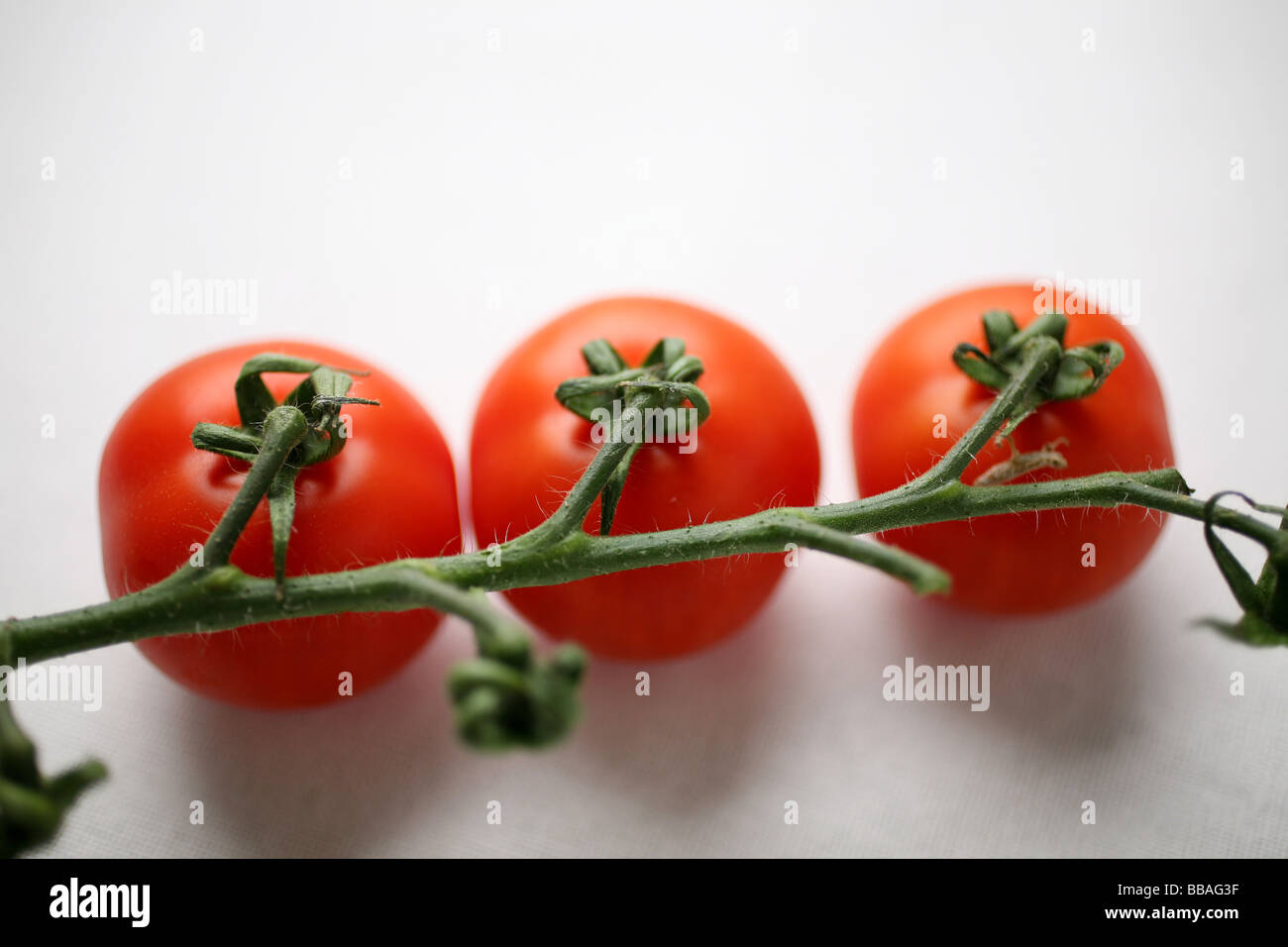 Tomatoes on the vine Stock Photo - Alamy