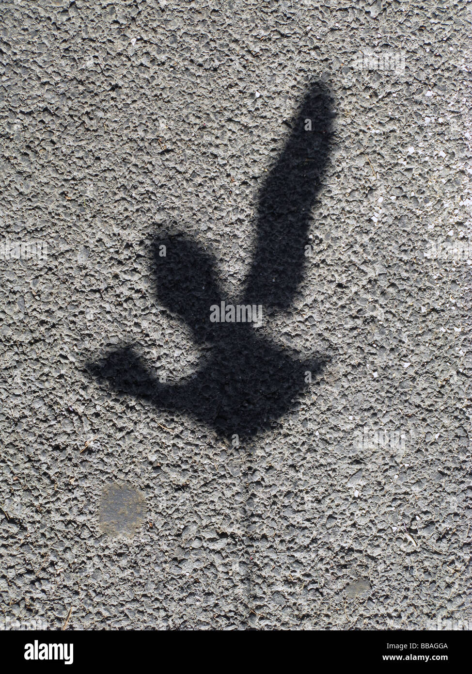 shadow of toy goose duck model on street road surface Stock Photo - Alamy