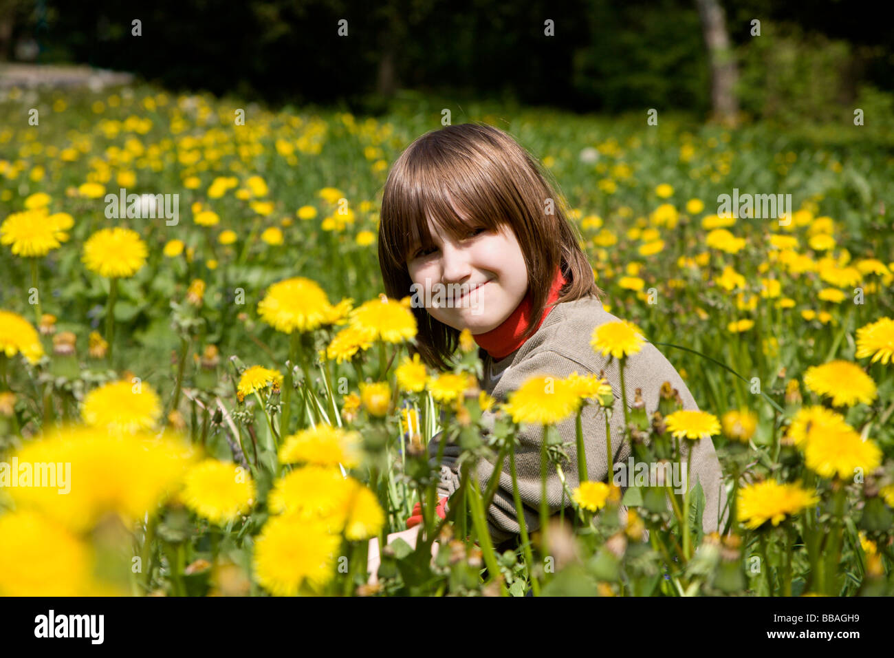 little girl on the spring meadow - smile Stock Photo - Alamy