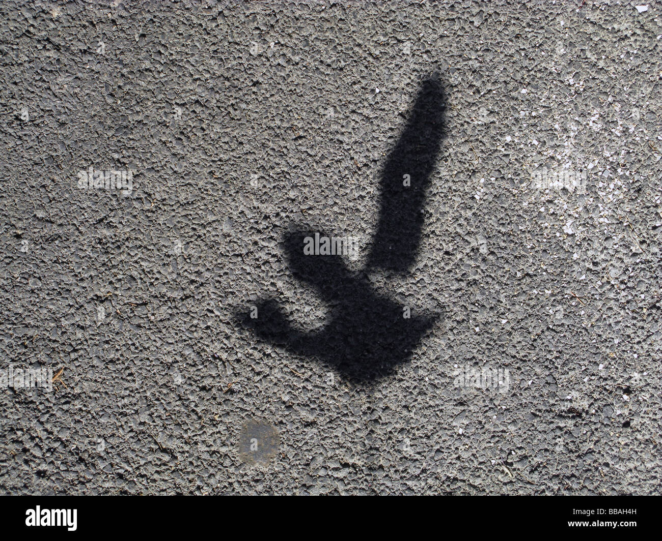 shadow of toy goose duck model on street road surface Stock Photo - Alamy