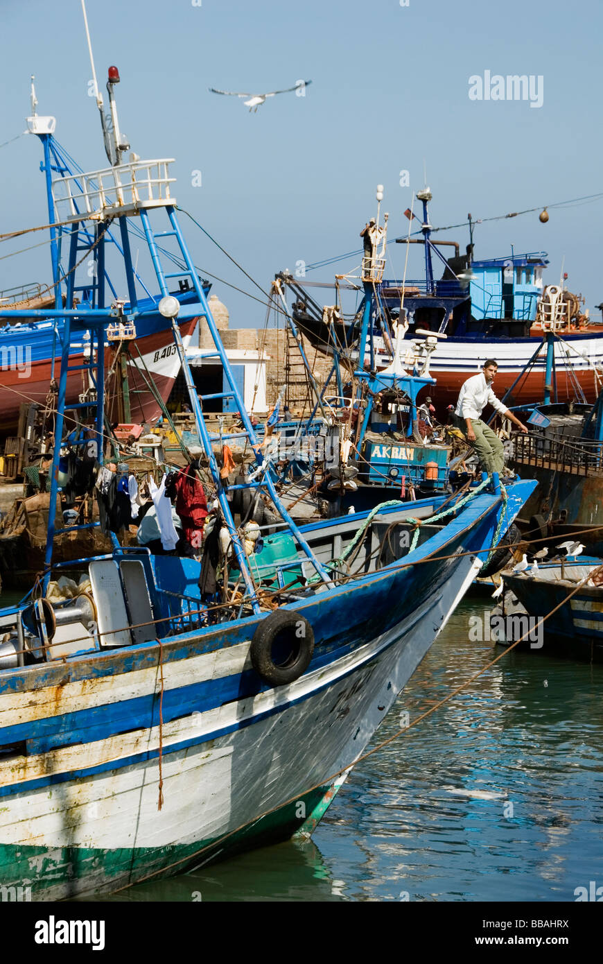 Traditional fishing boats in Essaouria harbour, Morocco, north Africa ...