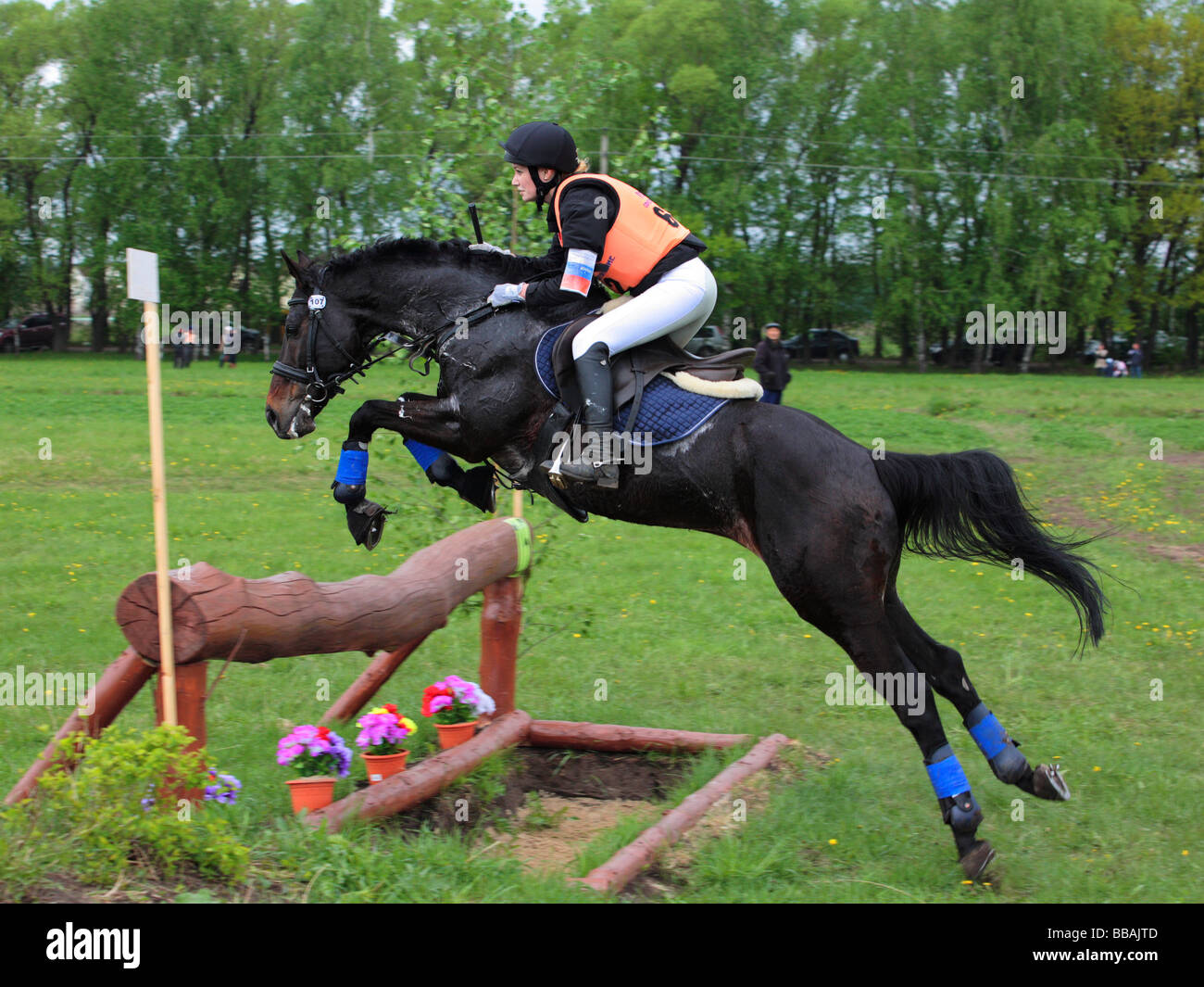 Horse riding competition Stock Photo - Alamy