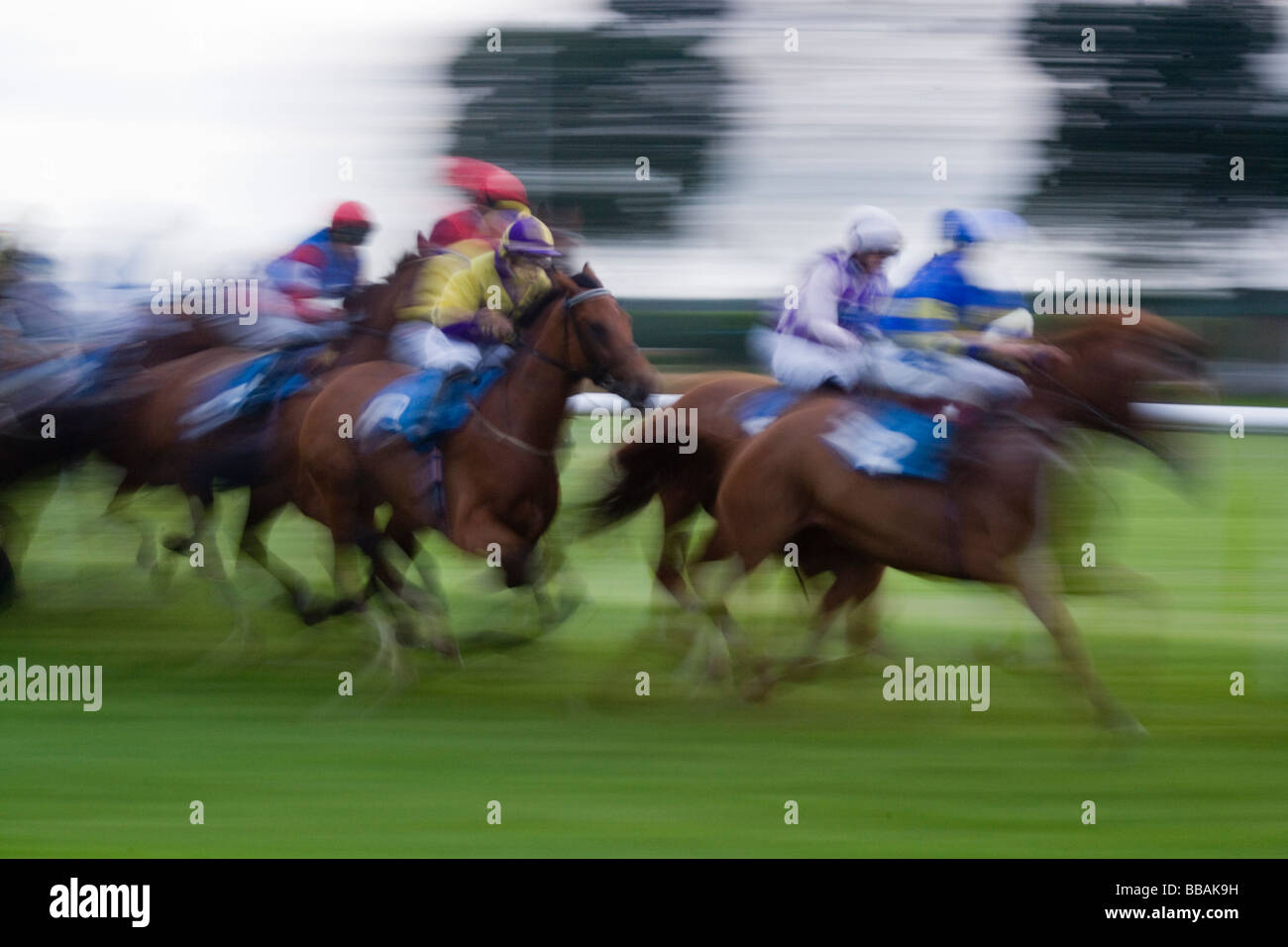 Thirsk race hi-res stock photography and images - Alamy