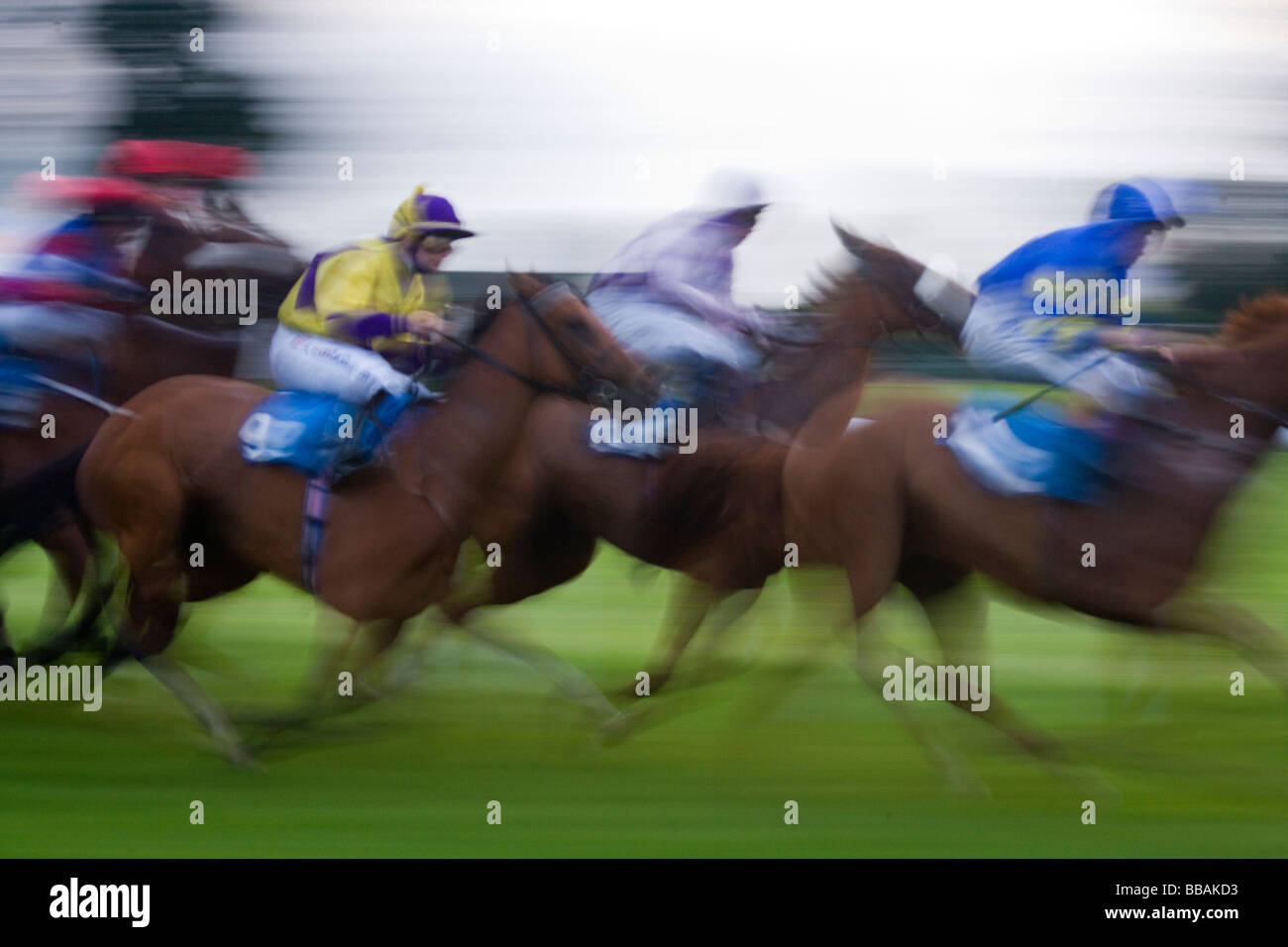Running races england hi-res stock photography and images - Alamy