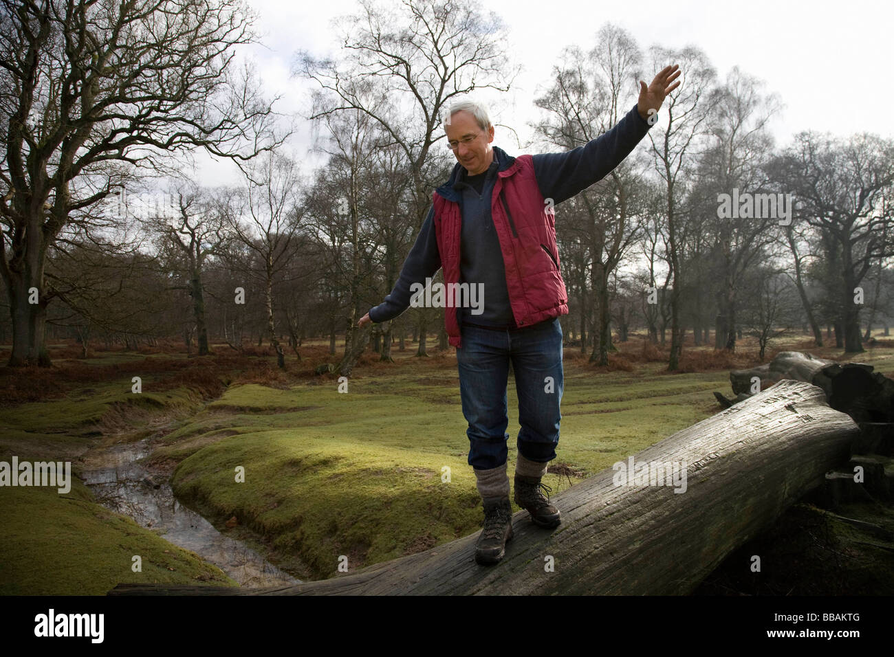 Retired Man Balancing on Tree Stock Photo - Alamy