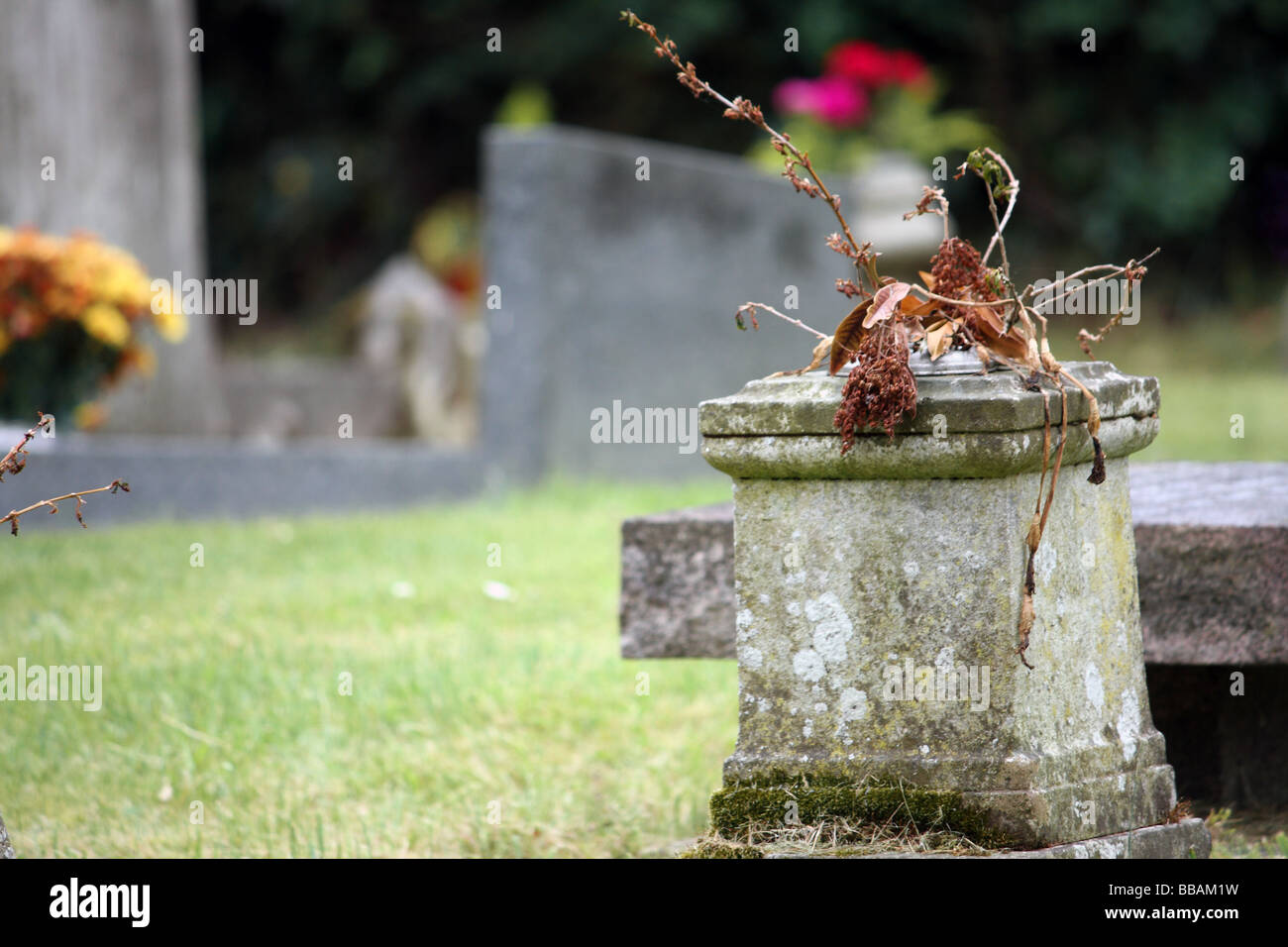 Dead Flowers Graveyard High Resolution Stock Photography and Images - Alamy